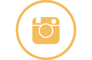 10 maneras de DESCARGAR REELS de Instagram en 2022